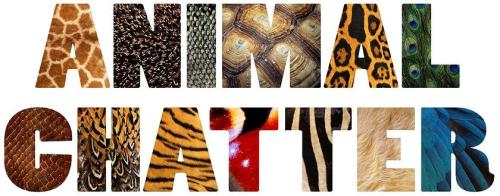 Animal chatter | Dr Nancy Priston